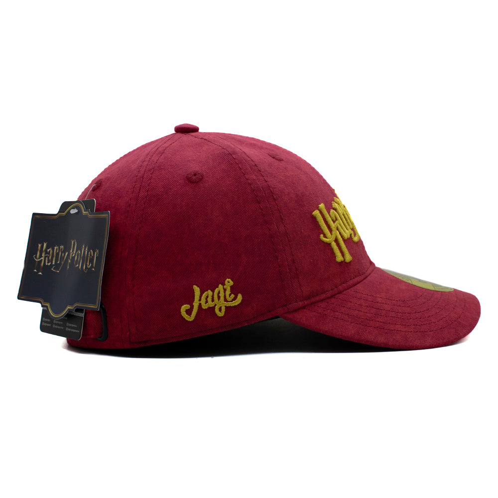 Harry Potter | Classic Logos – Jagi Caps
